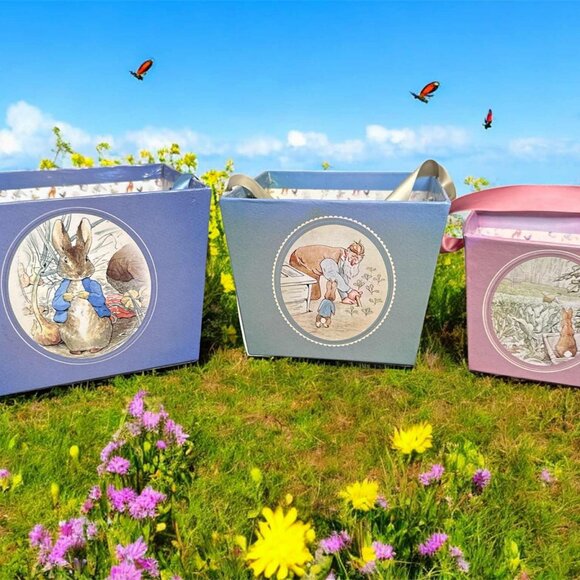Dalmation Press | Other | The Tale Of Peter Rabbit By Beatrix Potter ...